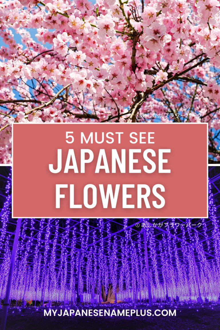 5 Japanese Flowers and the best time to view them. - My Japanese Name ...